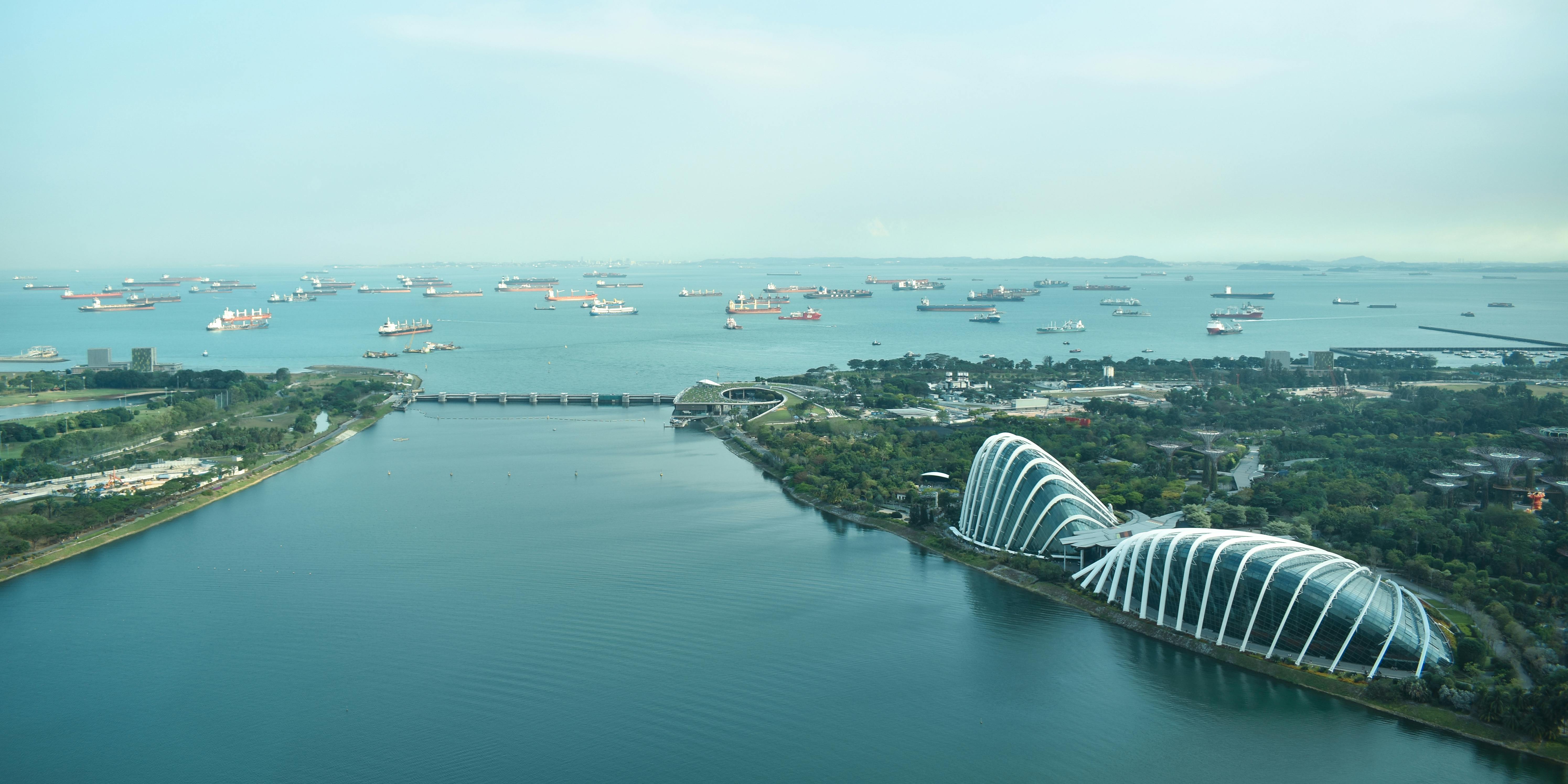 Dynamis Capital Pte. Ltd. – Alternative capital provider